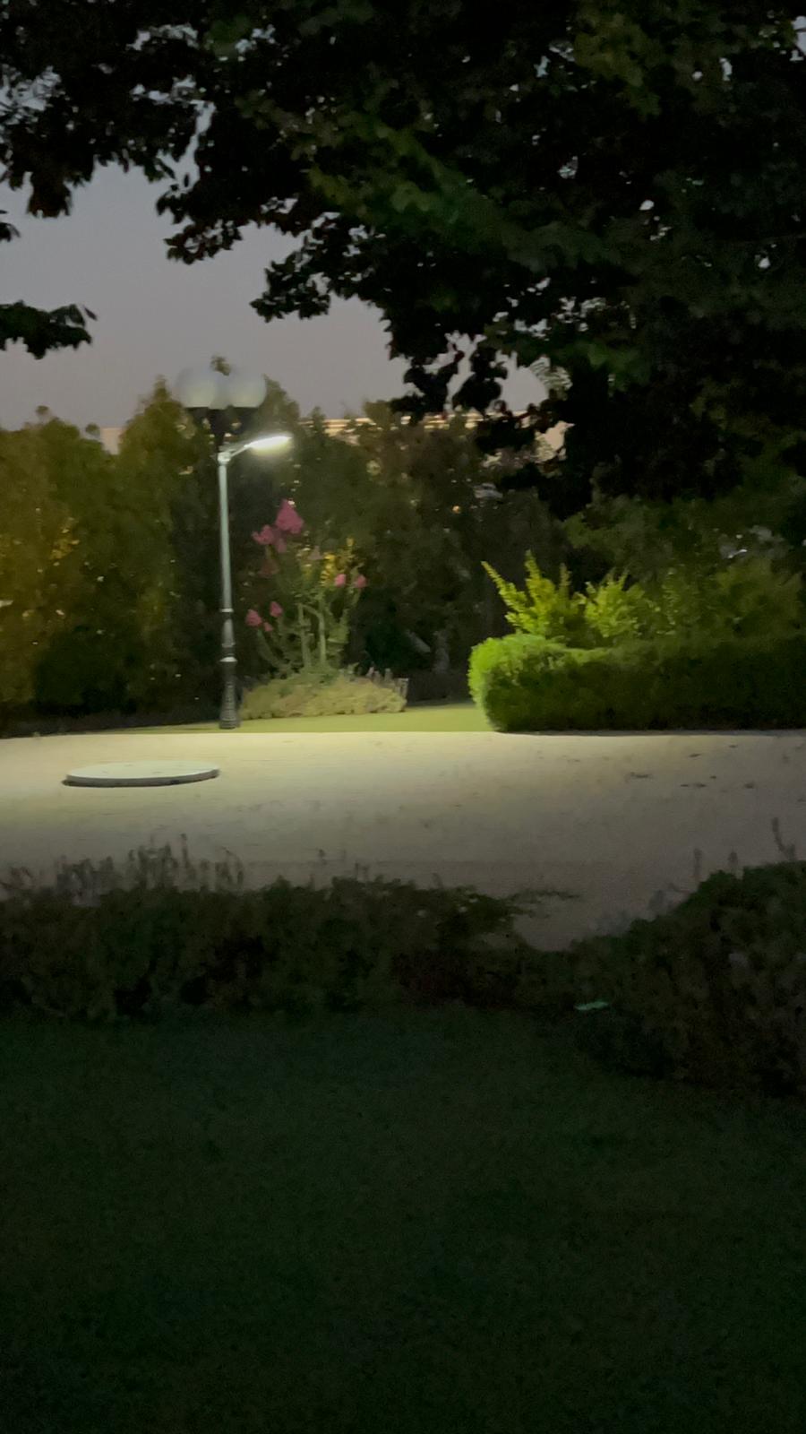 BOSUN solar powered outdoor pole lights project for park